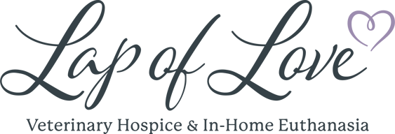 Clinic FAQ's about Lap of Love services