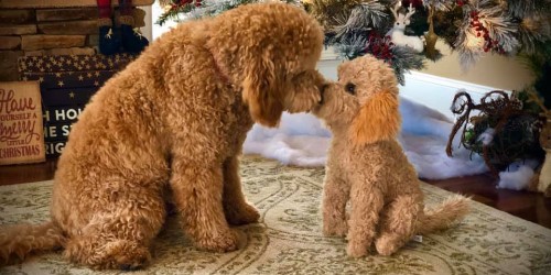 Pet Memorial Keepsakes