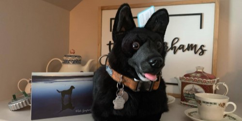 Pet Memorial Keepsakes